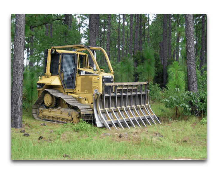 Trump was right about “raking” Finnish forests • Watts Up With That?